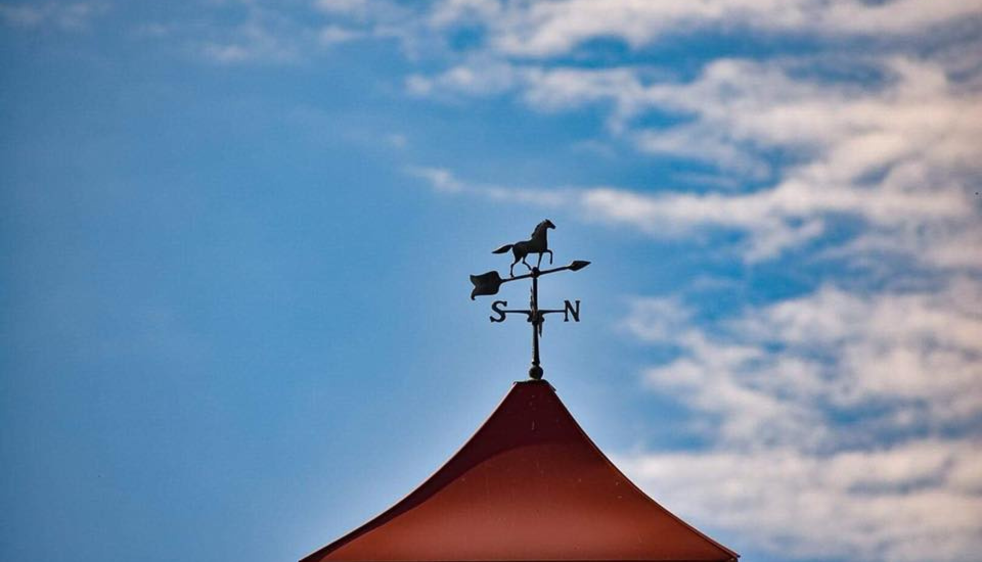 Home - Beechy Horsemanship