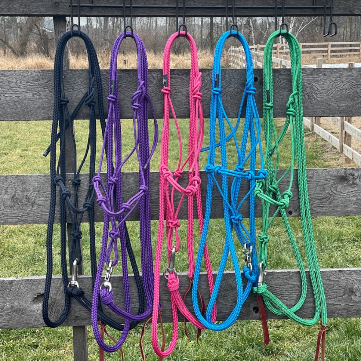 Horse Halter and Lead Rope - Beechy Horsemanship