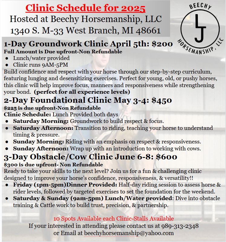 Horse Clinics - Beechy Horsemanship